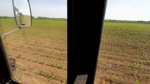 Špartanje kukuruza 2020-Belarus i Tupanjac