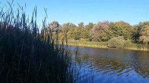 Утренняя зорька на озере.