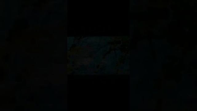 ДОБРЫЙ ДЕНЬ #ДОБРЫЙ ДЕНЬ