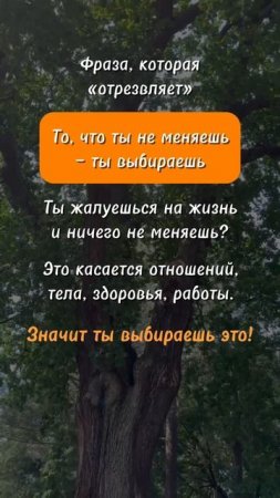 Выбирай!