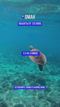 Оман удивляет уникальными возможностями отдыха, жизни и инвестиций