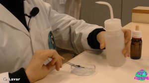 Observación de células de epidermis de cebolla.