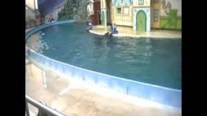 Seoul Grand Park Zoo - Part 9 Dolphin Show