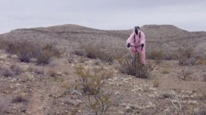 Pink Gorilla Mountain Bike