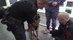В петербургском ОМОН Росгвардии проводили «на пенсию» служебную минно-розыскную собаку