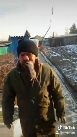 Ест крысу