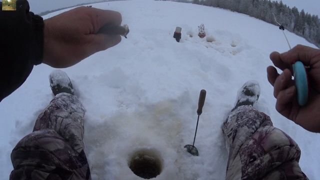 Открыл сезон 2025г.