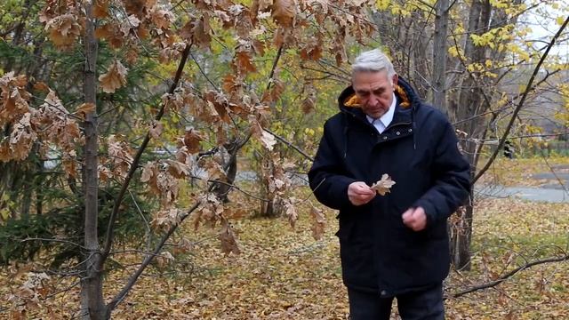 Вишня - Владимир Евтодеев