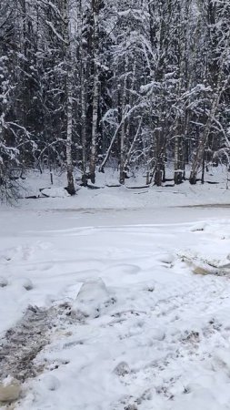 река Кересть