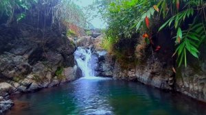 Relaxing River Sound relieves stress, anxiety and depression heals mind and deep sleep