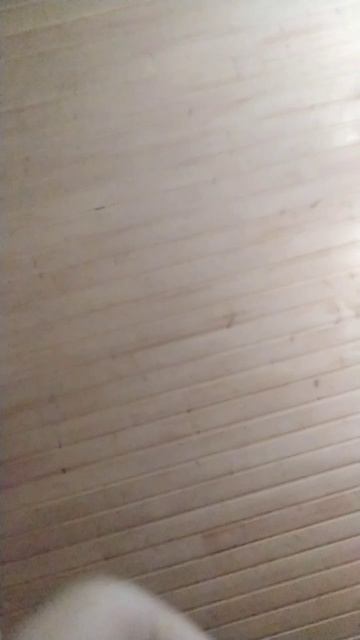 открываю скейтеры, сори что так долго не было видео