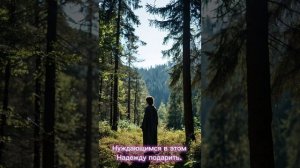 «Россия вперёд🇷🇺»,