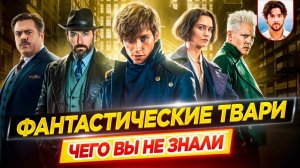 🪄 ФАНТАСТИЧЕСКИЕ ТВАРИ - Самые интересные факты - ЧЕГО ВЫ НЕ ЗНАЛИ о франшизе // ДКино