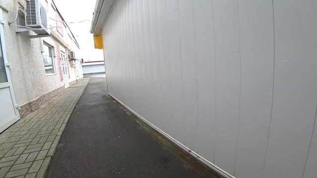 Выпал снег, прогулка с Пэксом за мясом, неадыкваты на дороге.