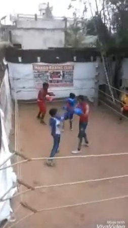 Mango boxing club s.rabbani