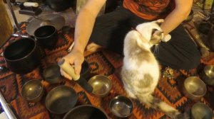 154. Поющие чаши ХРАМОВЫЕ тибетские. КАК ОТЛИЧИТЬ И ПОДОБРАТЬ? ГАРМОНИЗАЦИЯ. ОБУЧЕНИЕ ЗВУКОТЕРАПИИ.