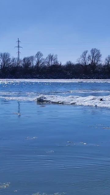 Редкое явление - ледоход на Кубани