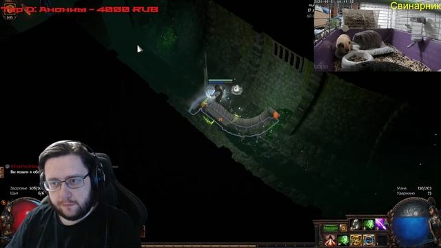 С 6 акта до карт, шептунья, Path of exile