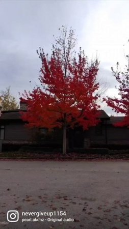 Canada view