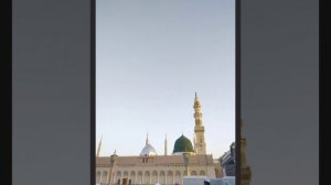 Malfoz Mubarak by Hazrat Mulana Dr Shah Jalil Ahmed Akhoon DBA Paltu bili palna kaisa hai (cat)