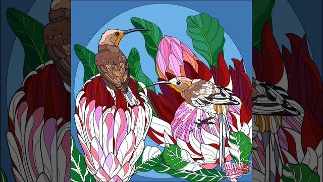 Птицы 471-480