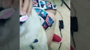 Граф за чисткой зубиков)))