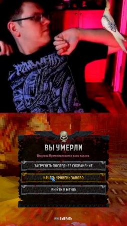 Попугай пришел на стрим))