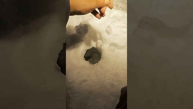 Тонка леска и мелкий крюк =большая рыба
