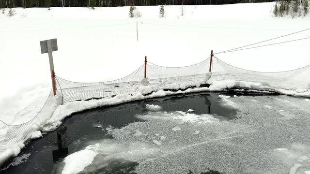 зимовка форели в садках, вмерзание садков в лёд и борьба с этим явлением 2025.02.23