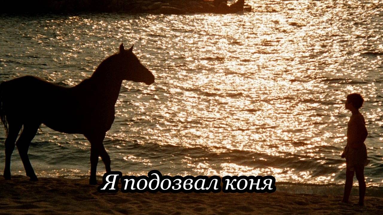 Я подозвал коня