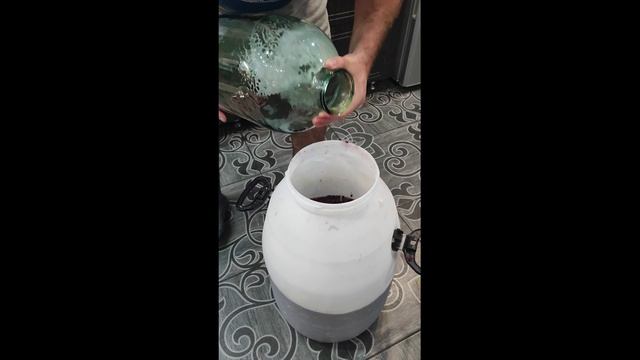 Делаем домашнюю чачу из своего винограда.
