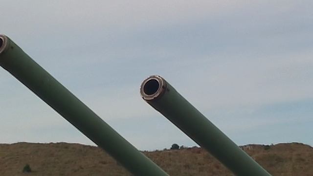 ГАМОВ. ПУШКИ_01.12