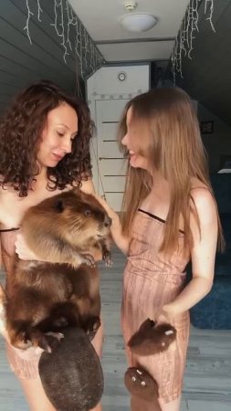 Закулисье съёмок с бобром