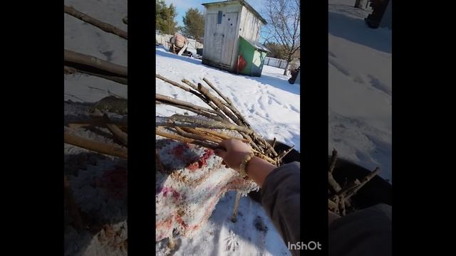 Идеи для творчества из яблоневых веток.