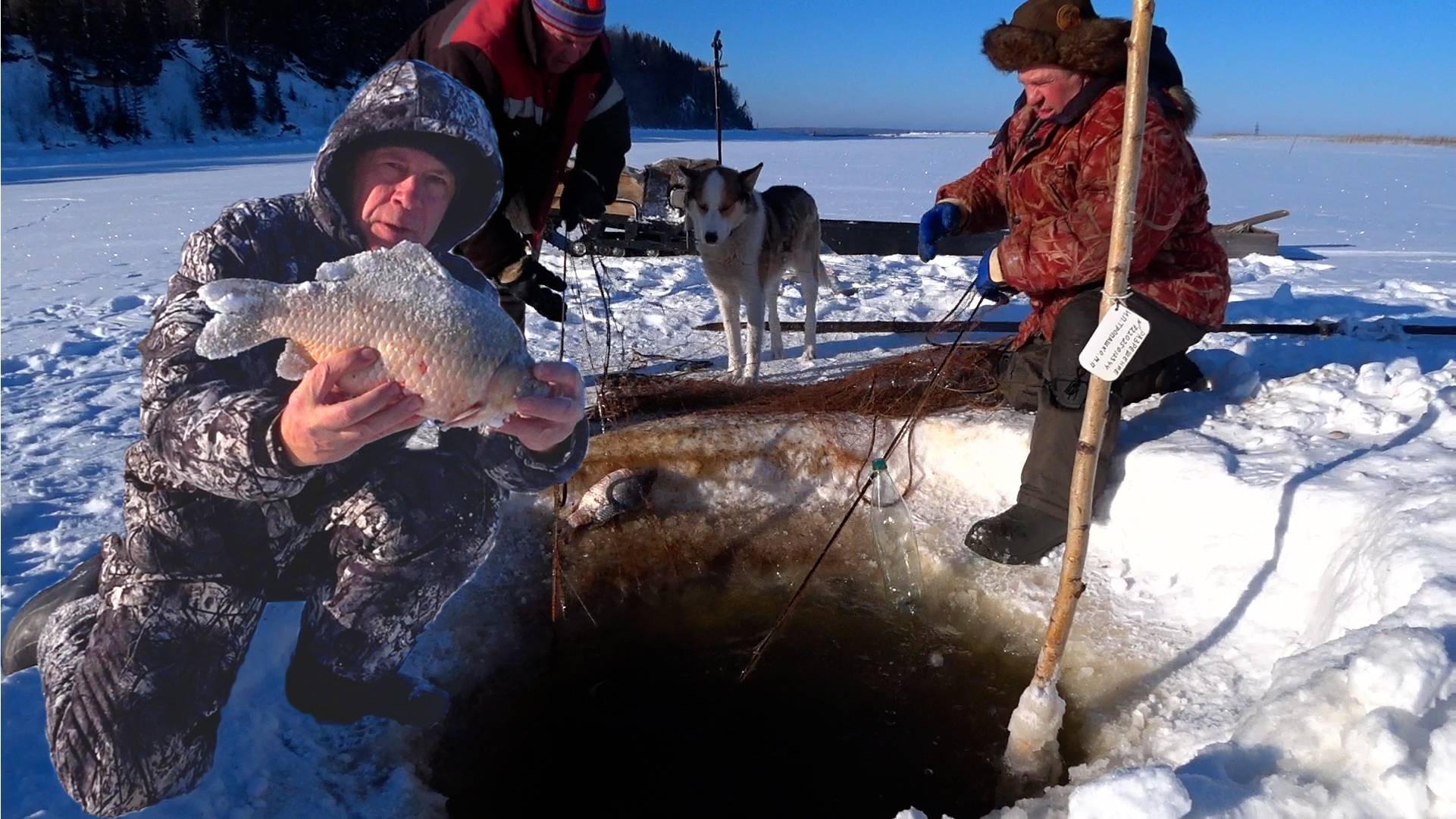 Ловля крупного карася сетью 21 февраля.