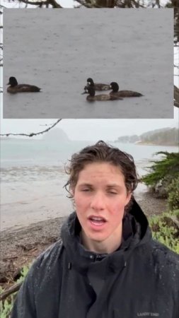Birdwatching in a Storm!! Pt.2