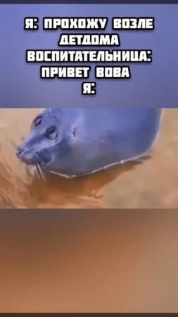 детдом / мем грустный тюлень