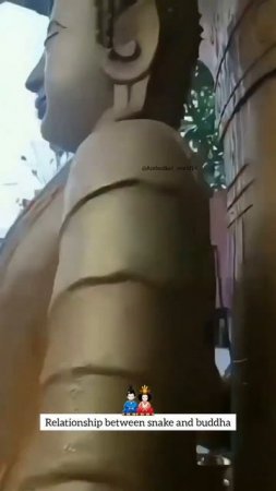 Relationship between snake and buddha