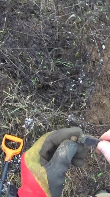Без уха, пуговка гирька.  #клад #metaldetecting #копатель #коп
Смотрите полное видео на канале.