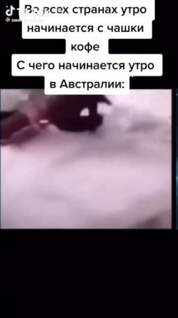 #мем#прикол видео не мое