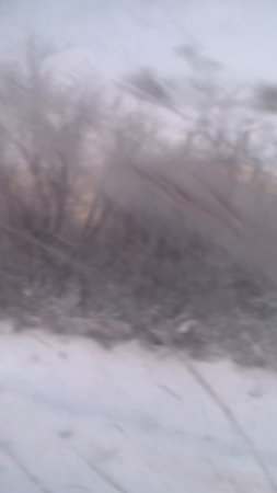 Путешествие в большеземельскую тундру. 2024 год. Немного Воргашора)