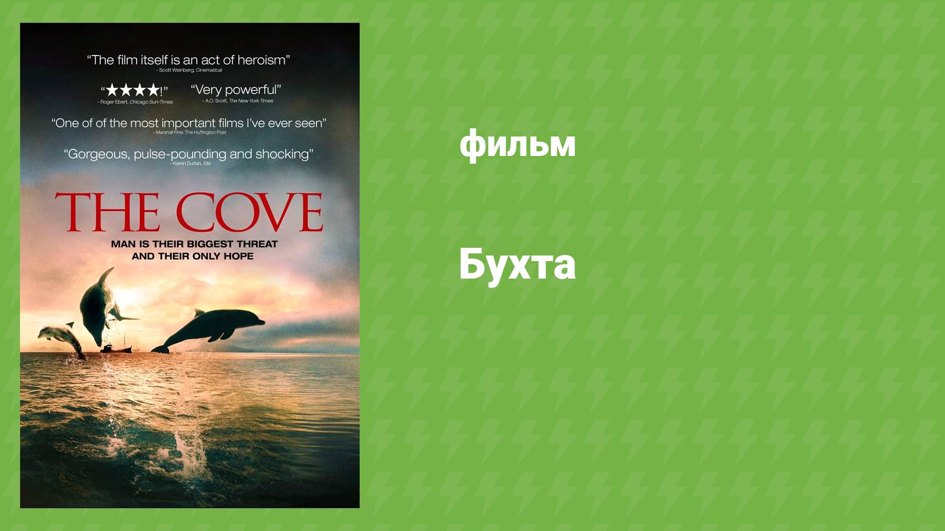 Бухта (документальный фильм, 2009)