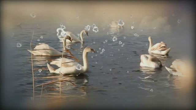 Хит СССР Белые крылья - Золотой голос Валерий Ободзинский!