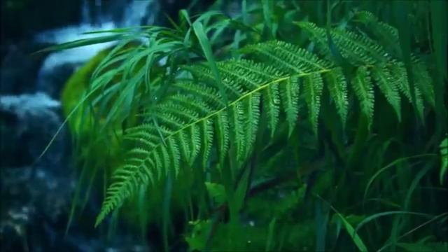 Сура 102 Страсть к Приумножению