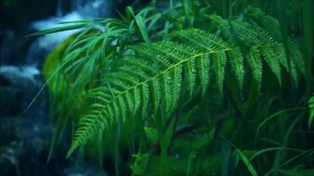 Сура 101 Великое бедствие