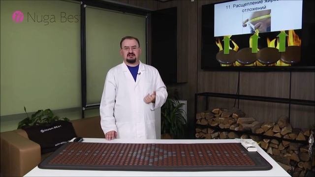 Доктор Голод керамика при заболеваниях