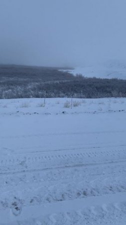 Путешествие в большеземельскую тундру. 2024 год.