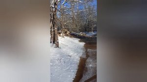 Через реку Кересть
