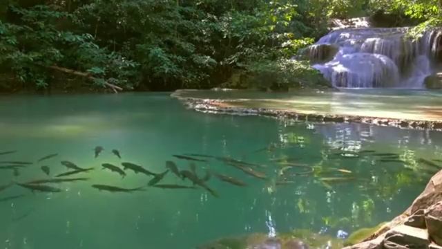 Сура 94 Раскрытие