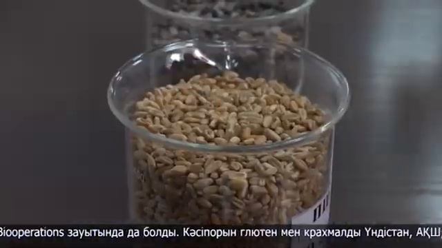 “7+7” Ақпараттық бағдарламасы  22.02.2025